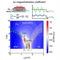 Precisely tracking critical spin fluctuations using the ac ...