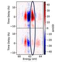 Polarization-resolved core exciton dynamics in LiF using attosecond transient absorption ...