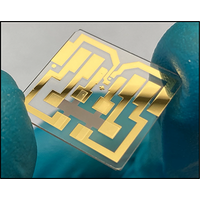 [Phys. Rev. B 111, 165202] Published Thu Apr 03, 2025 Variable ...