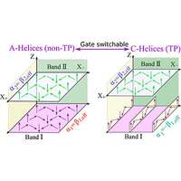Emergence of aligned nontopological and crossed topological spin ...