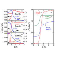 Multiferroicity in orthorhombic (, and ) under high pressure | Phys. Rev. B