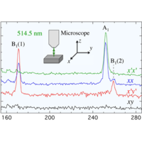 Raman study of lattice dynamics in the Weyl semimetal TaAs | Phys. Rev. B