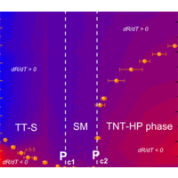 Pressure-induced quantum phase transitions in a single crystal | Phys ...