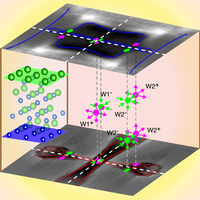 Direct observation of nonequivalent Fermi-arc states of opposite ...