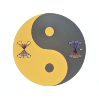 Physical Review B - Volume 93 Issue 24