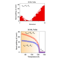 Distinctive orbital anisotropy observed in the nematic state of a FeSe ...