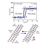Polarization memory in the nonpolar magnetic ground state of ...