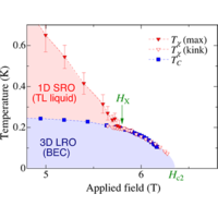 Direct three-dimensional ordering of quasi-one-dimensional quantum ...