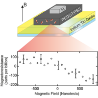 Nanotesla magnetoresistance in \ensuremath{\pi}-conjugated polymer ...