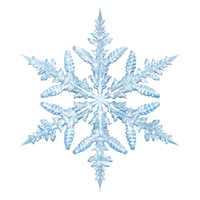 Snowflake phononic topological insulator at the nanoscale | Phys. Rev. B