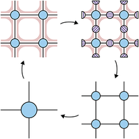 Renormalization of tensor networks using graph-independent local ...