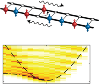 Angle-resolved photoemission spectroscopy with quantum gas microscopes ...