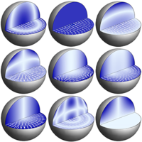 Selection rules for cavity-enhanced Brillouin light scattering from ...
