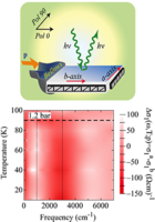 Ingredients for the electronic nematic phase in FeSe revealed by its ...