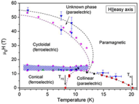 Influence of the magnetic field on the stability of the multiferroic ...