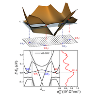 Weyl metal prediction and anomalous Hall effect in hexagonal alloy ...
