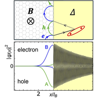 Transparent graphene-superconductor interfaces: Quantum Hall and zero ...