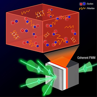 Resolving exciton and polariton multiparticle correlations in an ...