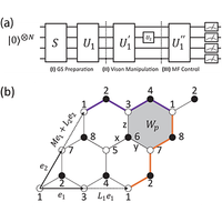 Digital quantum simulation of the Kitaev quantum spin liquid | Phys. Rev. B