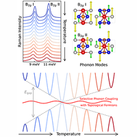 Revealing Fano resonance in the Dirac material through Raman scattering ...