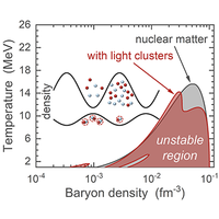 Dynamics of dilute nuclear matter with light clusters and in-medium ...