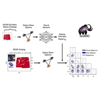 Physical Review D - Volume 109 Issue 10