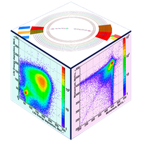 Physical Review D - Volume 109 Issue 11