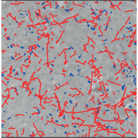 Direct measurement of the aerotactic response in a bacterial suspension ...