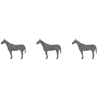 How the zebra got its stripes: Curvature-dependent diffusion orients ...