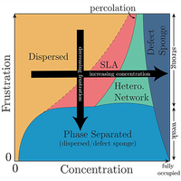 Physical Review E - Volume 112 Issue 6