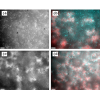 Aging of colloidal gels in microgravity | Phys. Rev. E