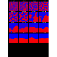 Stratification effects in fluids near their liquid-vapor critical point ...