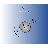 Physical Review Fluids - Volume 10 Issue 7