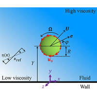 Physical Review Fluids - Volume 10 Issue 10