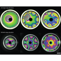 Physical Review Fluids - 2015 Gallery of Fluid Motion