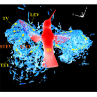 Physical Review Fluids - 2015 Gallery of Fluid Motion
