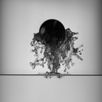 Water exit dynamics of buoyant spheres | Phys. Rev. Fluids