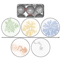 Impact of intergranular bonds on morphology transition of two-phase ...