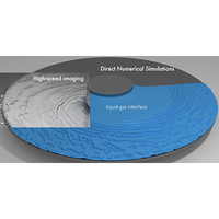 Thin film flow over a spinning disk: Experiments and direct numerical ...