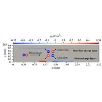Numerical analysis of microscale electrohydrodynamic conduction pumping of liquid film | Phys ...