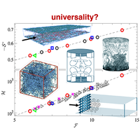 Universality of extreme events in turbulent flows | Phys. Rev. Fluids
