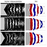Impact of trailing edge shape on the wake and propulsive performance of ...