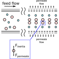 Inertial particle dynamics in the presence of a secondary flow | Phys ...