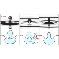 Damped coalescence cascade of liquid drops | Phys. Rev. Fluids