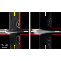 Purely elastic instabilities in a microfluidic flow focusing device | Phys. Rev. Fluids