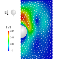 Q-tensor model for electrokinetics in nematic liquid crystals | Phys ...