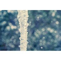 Phys. Rev. Fluids 2, 053904 (2017) - Convective-absolute nature of ...