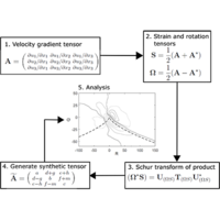Synthetic velocity gradient tensors and the identification of ...