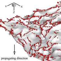 Principal curvatures and area ratio of propagating surfaces in ...
