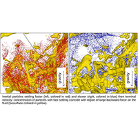 Settling velocity and preferential concentration of heavy particles ...